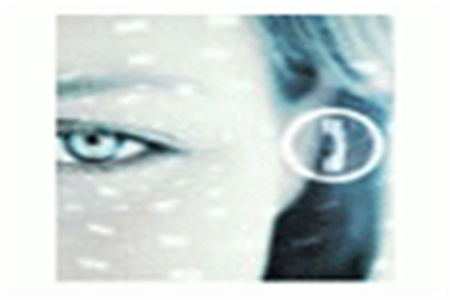 Сегодня открылась выставка-конференция WiMAX Expo 2008 | Обозреватель | OBOZ.UA