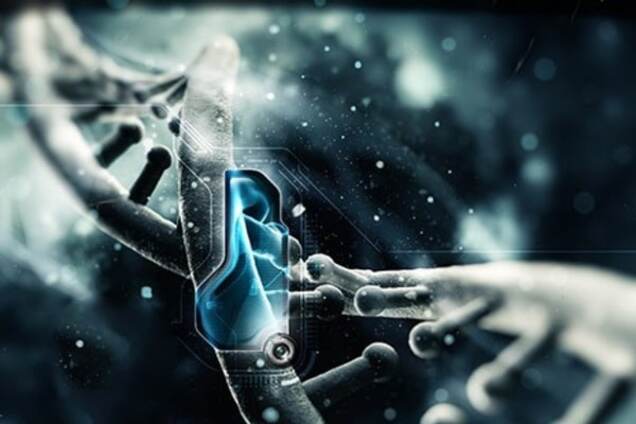 Новейшие технологии : Названы три технологии, которые изменят будущее ...